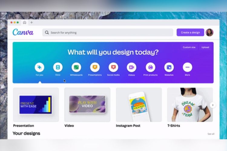 Envato Grammarly Canva Package: Unleash Your Creative Potential!