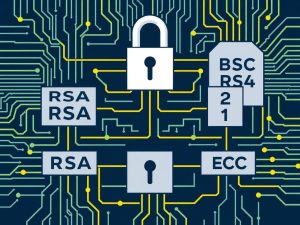 ECC Vs RSA In SSL/TLS: Understanding Their Differences And Choosing The Right Algorithm